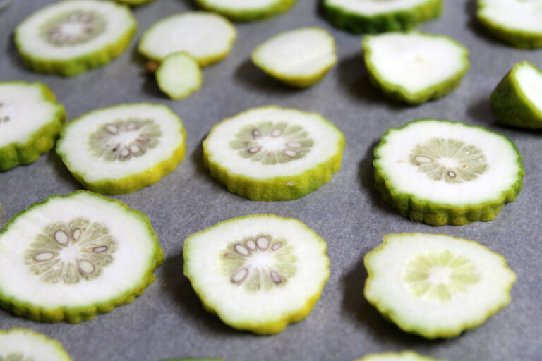 How to Dry Etrog Slices - Jewish Moms & Crafters