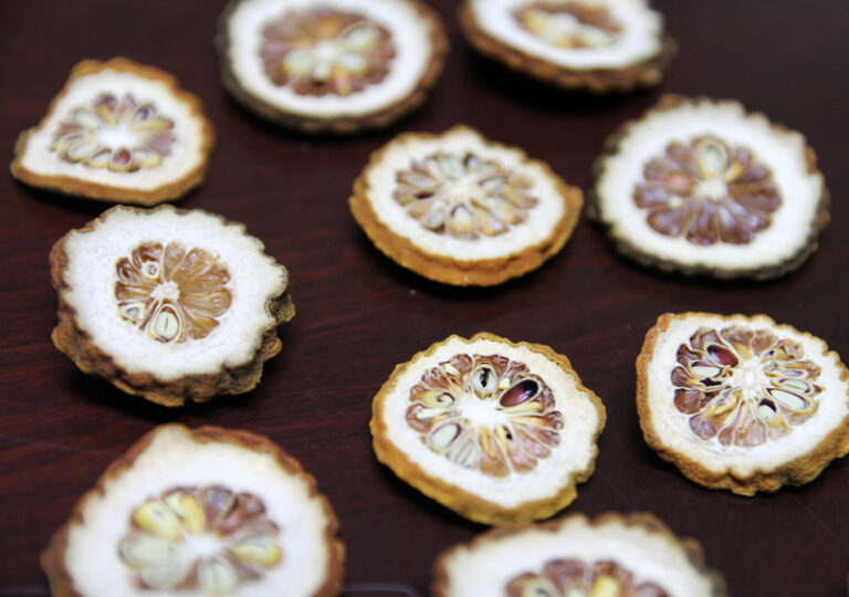How to Dry Etrog Slices - Jewish Moms & Crafters