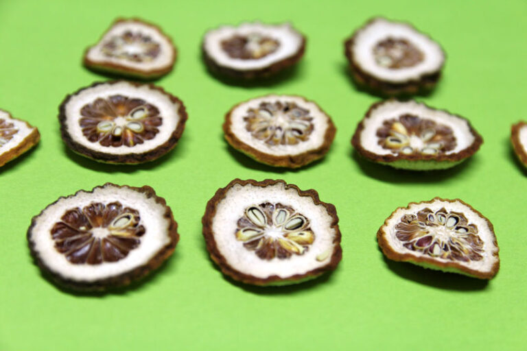 How to Dry Etrog Slices - Jewish Moms & Crafters