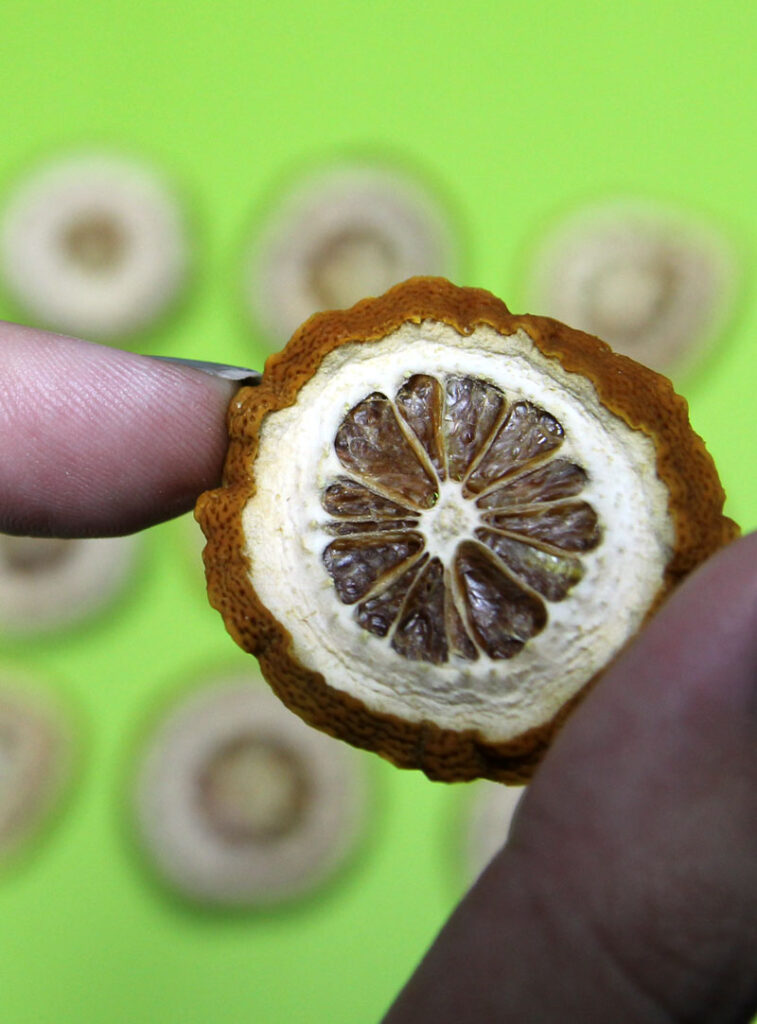 How to Dry Etrog Slices - Jewish Moms & Crafters