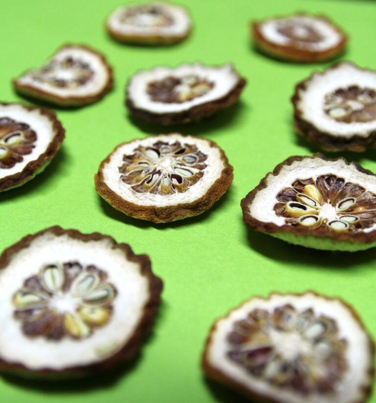 How to Dry Etrog Slices - Jewish Moms & Crafters
