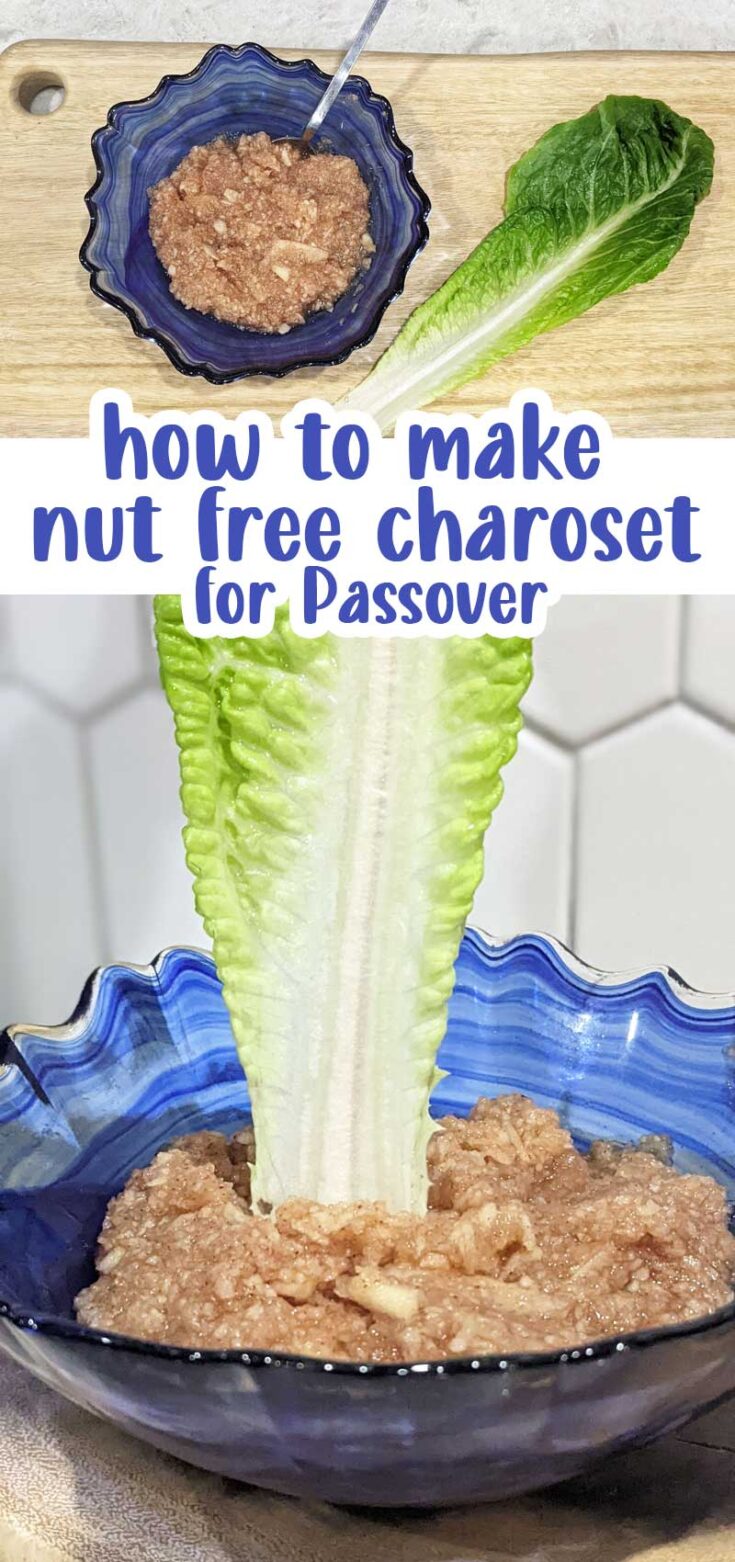 Nut Free Charoset - Small Batch Recipe - Jewish Moms & Crafters