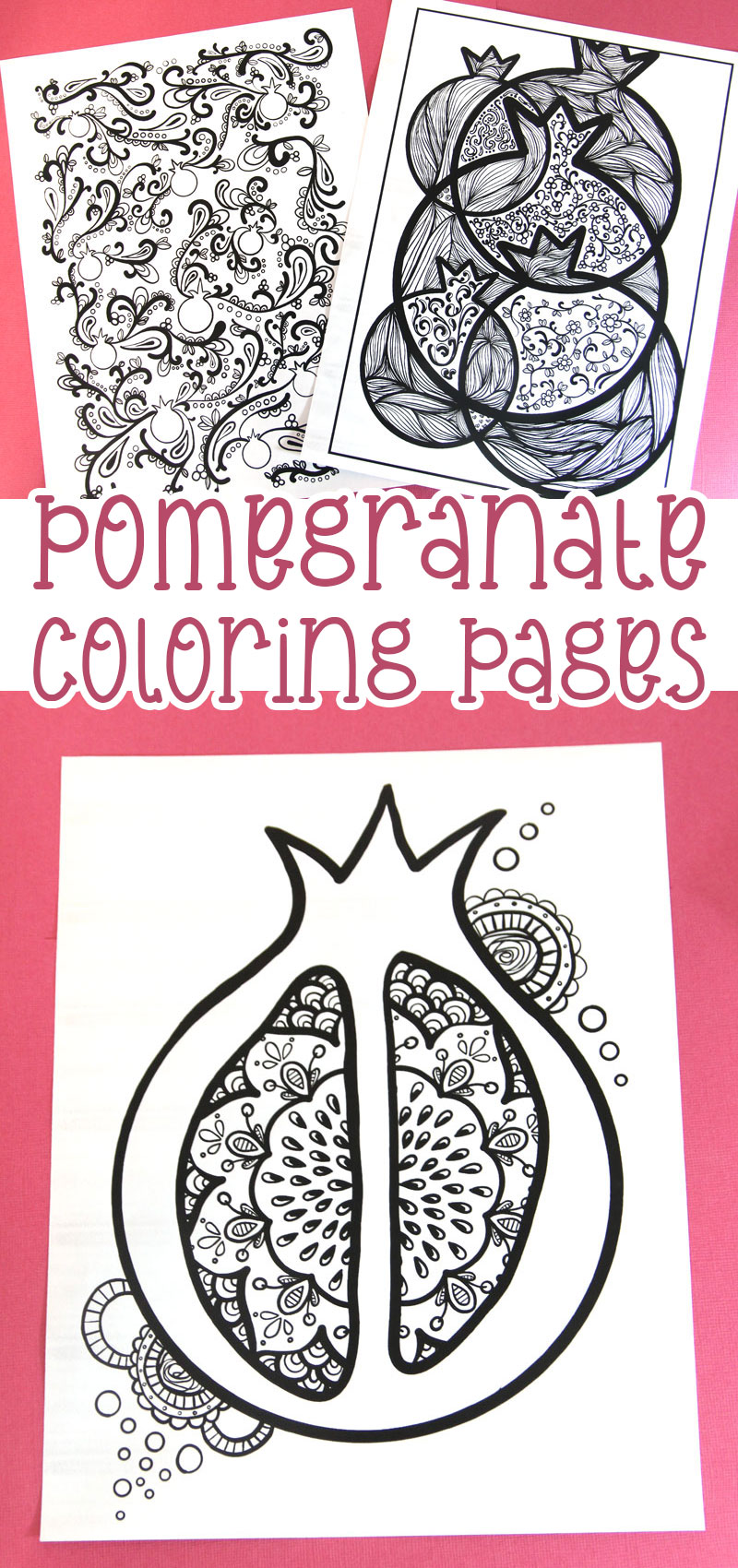Pomegranate Coloring Pages for Adults - Jewish Moms & Crafters