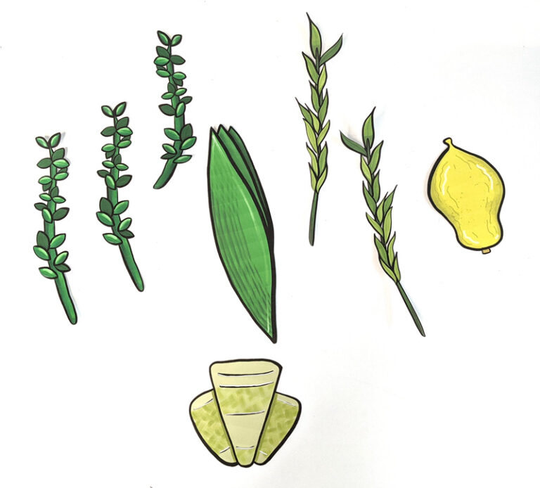 Lulav and Etrog Craft for Kids - Jewish Moms & Crafters