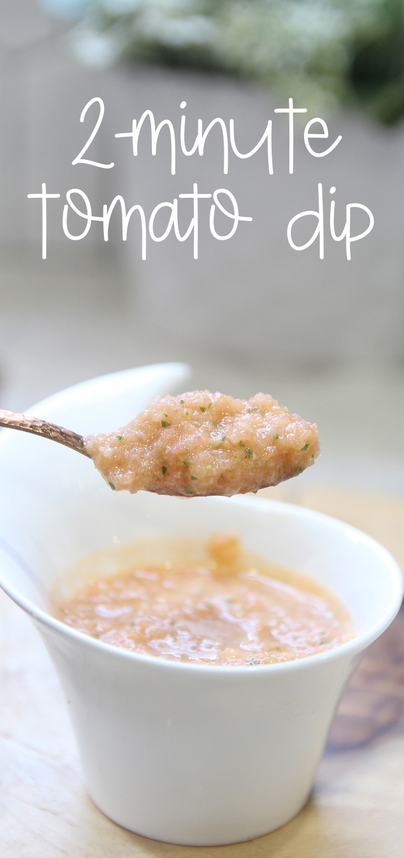 Tomato Dip Recipe - 5 Minutes! - Jewish Moms & Crafters