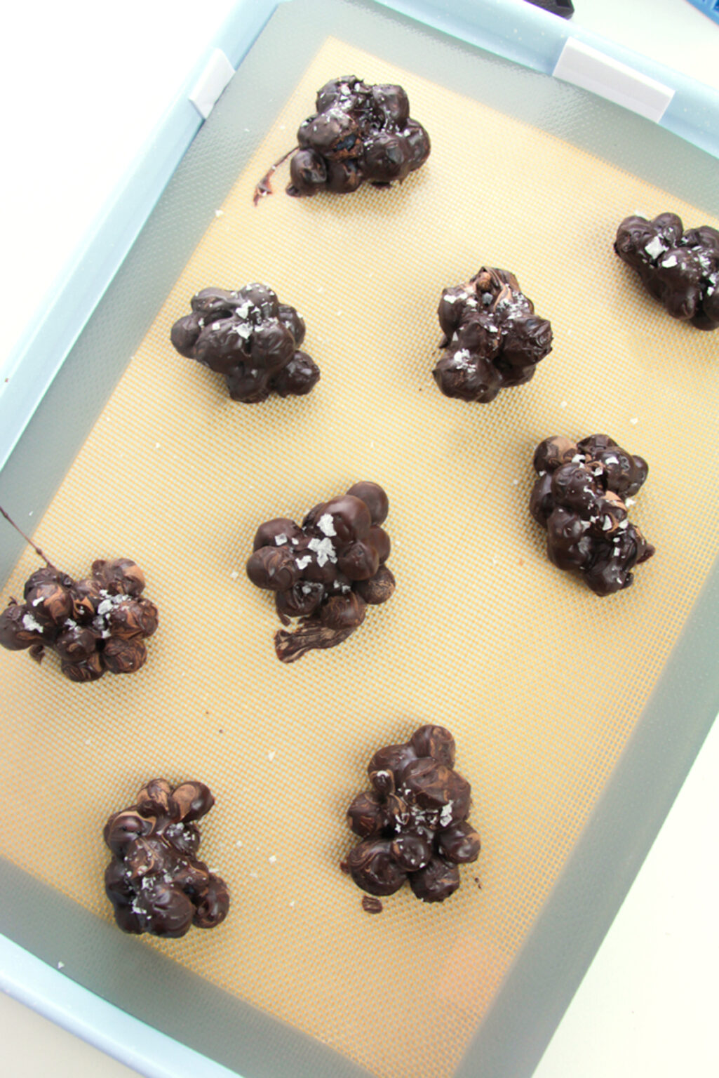 Dark Chocolate Blueberry Clusters Recipe