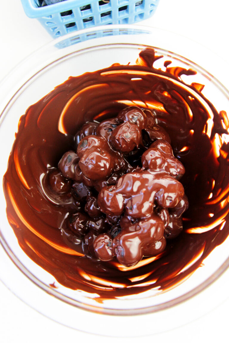 Dark Chocolate Blueberry Clusters Recipe