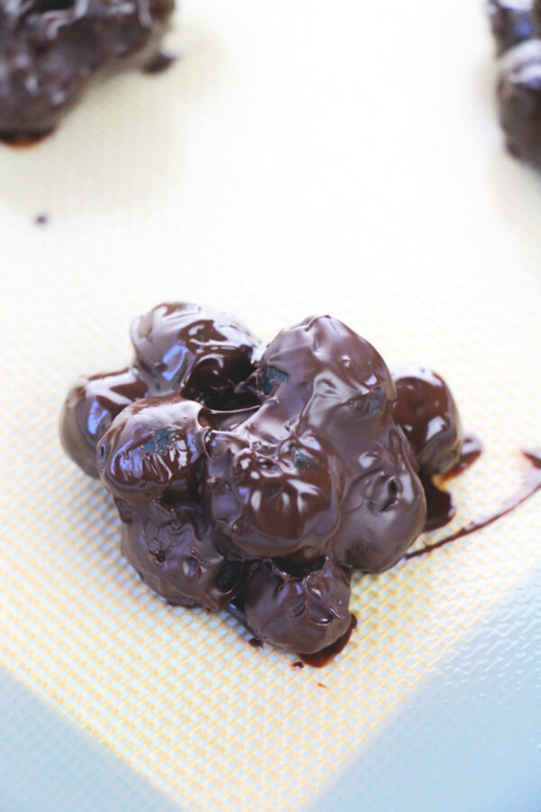 Dark Chocolate Blueberry Clusters Recipe