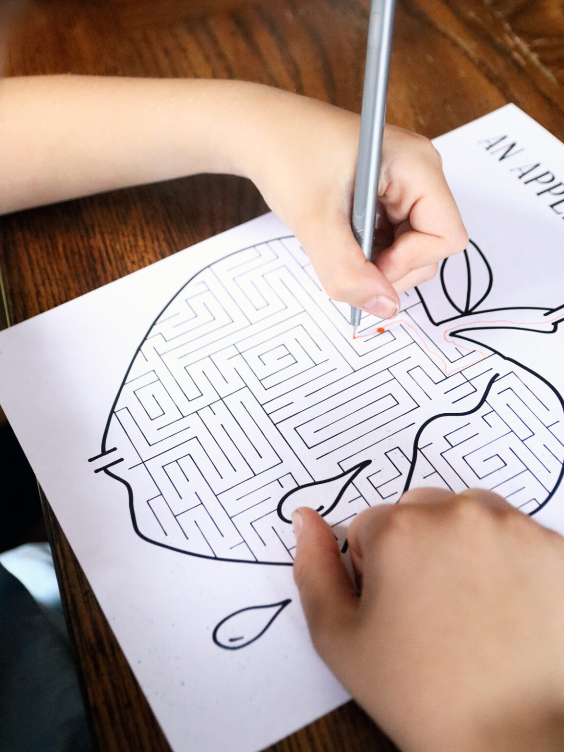 Rosh Hashanah Mazes - With a Free Pomegranate maze! - Jewish Moms ...